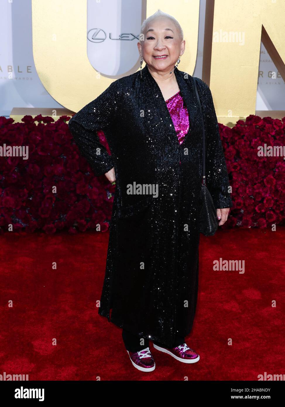 BEVERLY HILLS, LOS ANGELES, CALIFORNIA, USA - DECEMBER 11: American ...