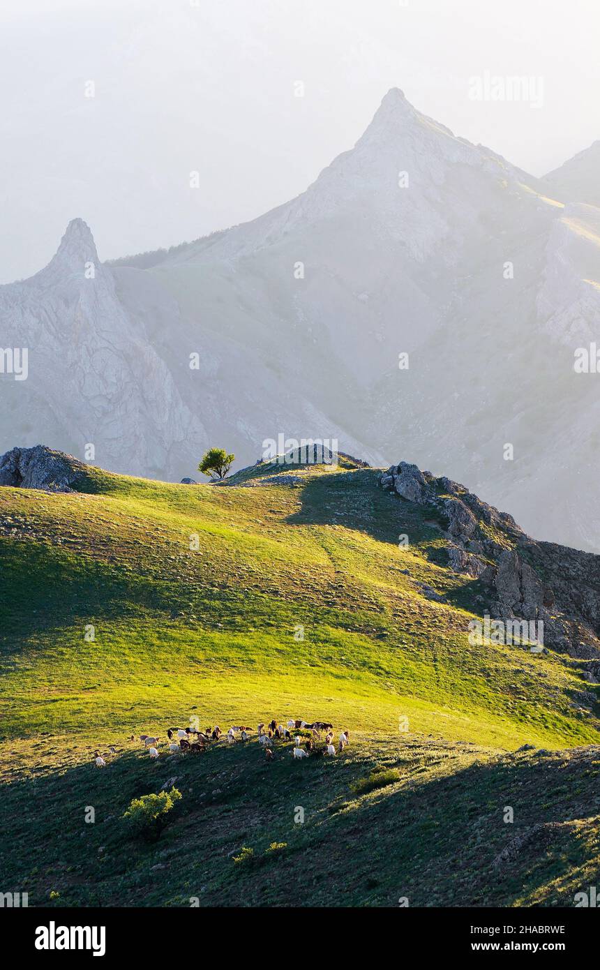 Spring landscape with beautiful mountains in the Solar light Stock ...