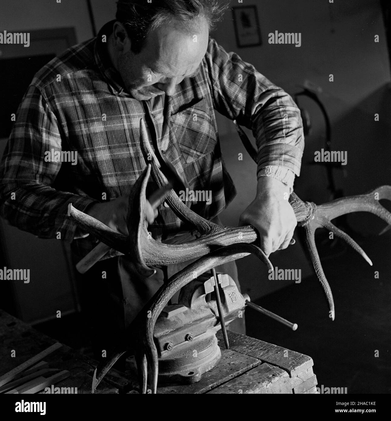 Miastko, 1969-11-21. Wytwórnia pami¹tek z poro¿y Foto-Pam. Nz. rêczna ...