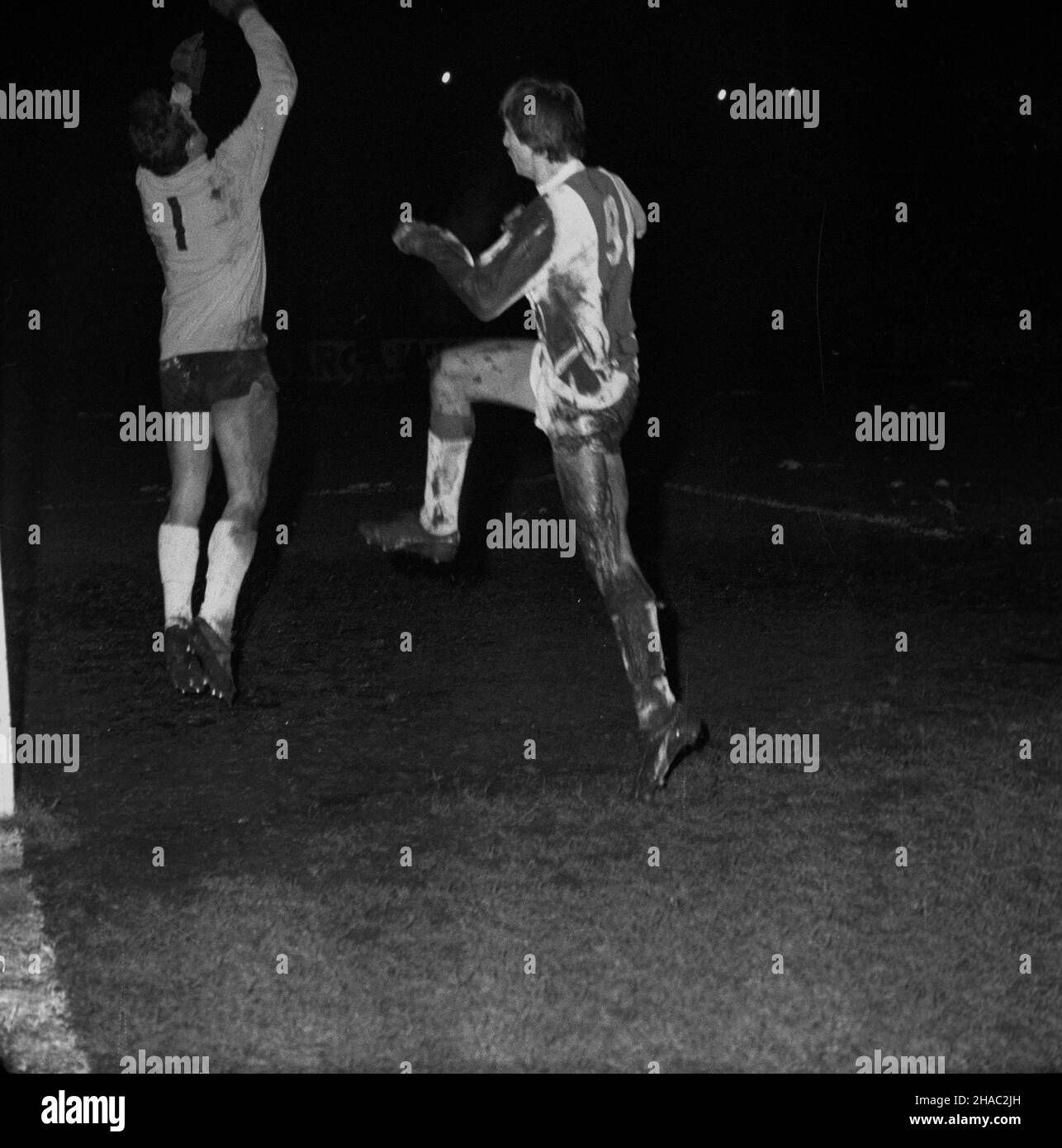 Gerard jan van dijk hi-res stock photography and images - Alamy