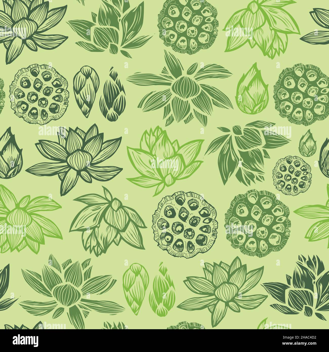 Vector green rows of lotus flower, leaf and seed pods 07 repeat pattern ...