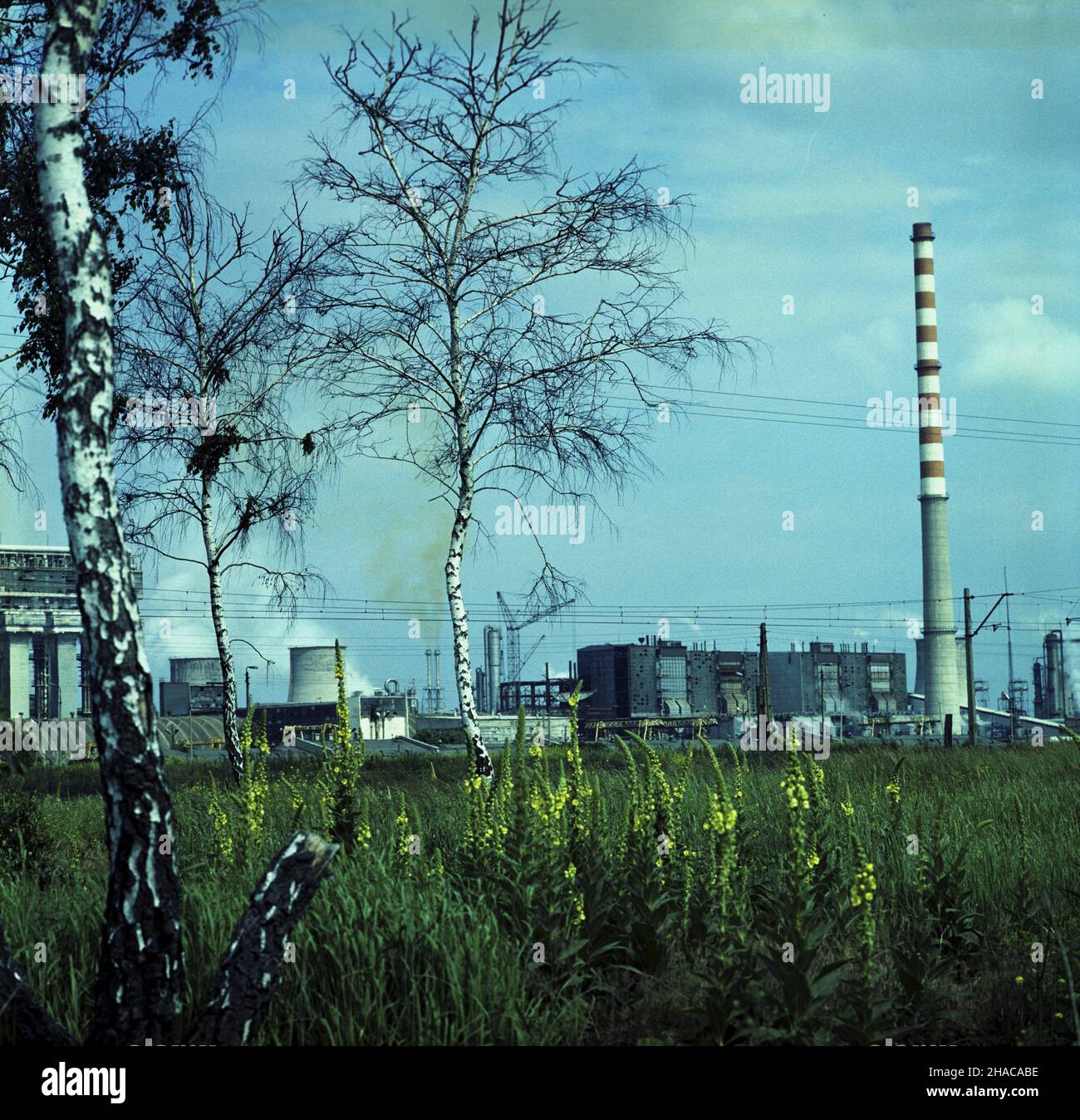 Pu3awy hi-res stock photography and images - Alamy