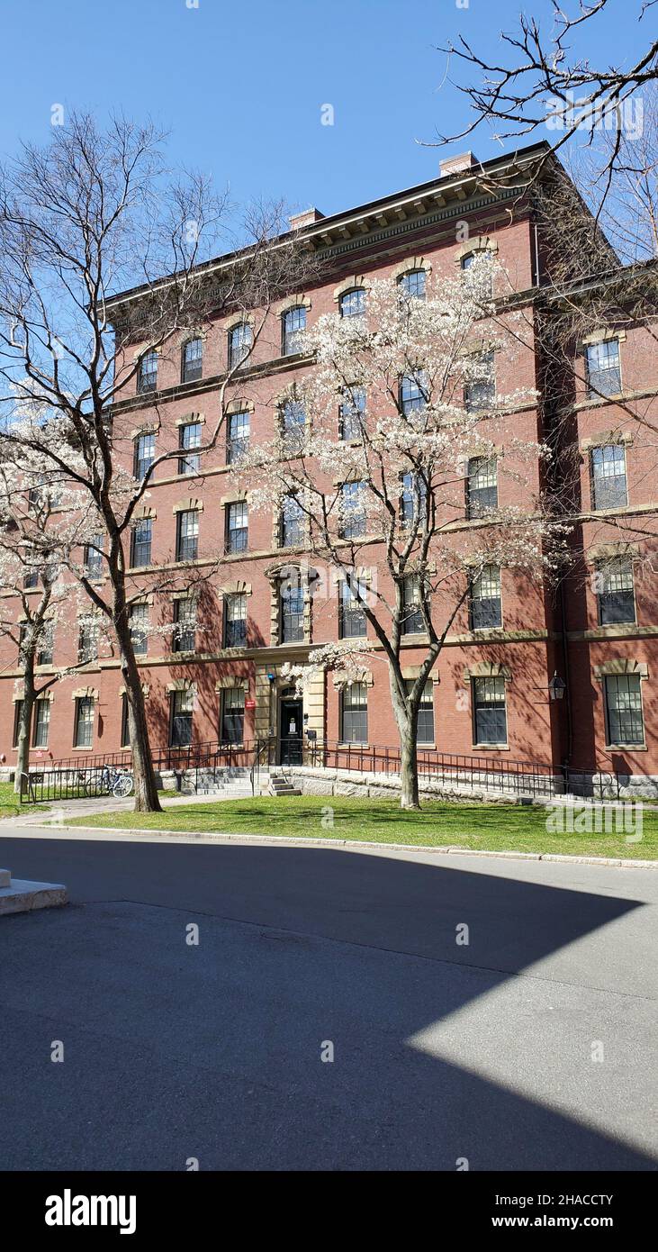 Harvard university building park hi-res stock photography and images ...