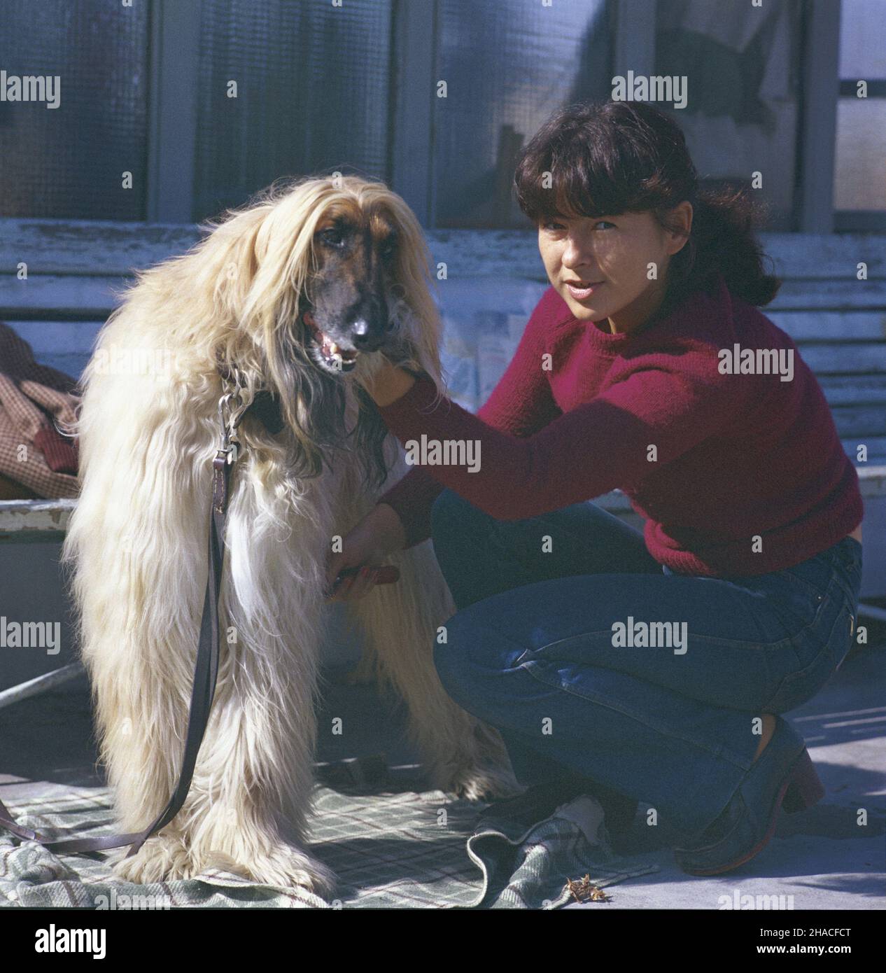 Chart afganski hi-res stock photography and images - Alamy