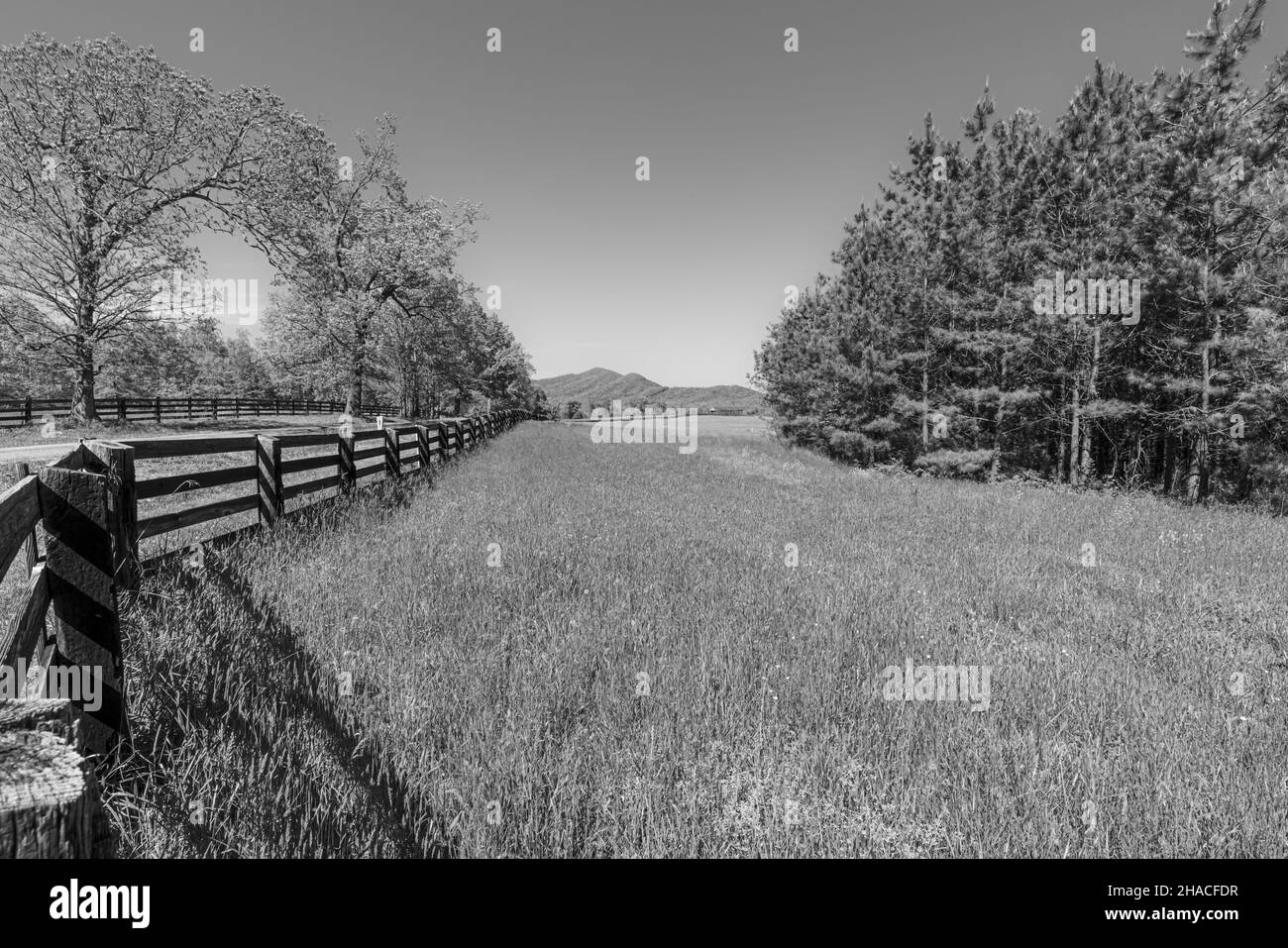 Field shot Black and White Stock Photos & Images - Alamy