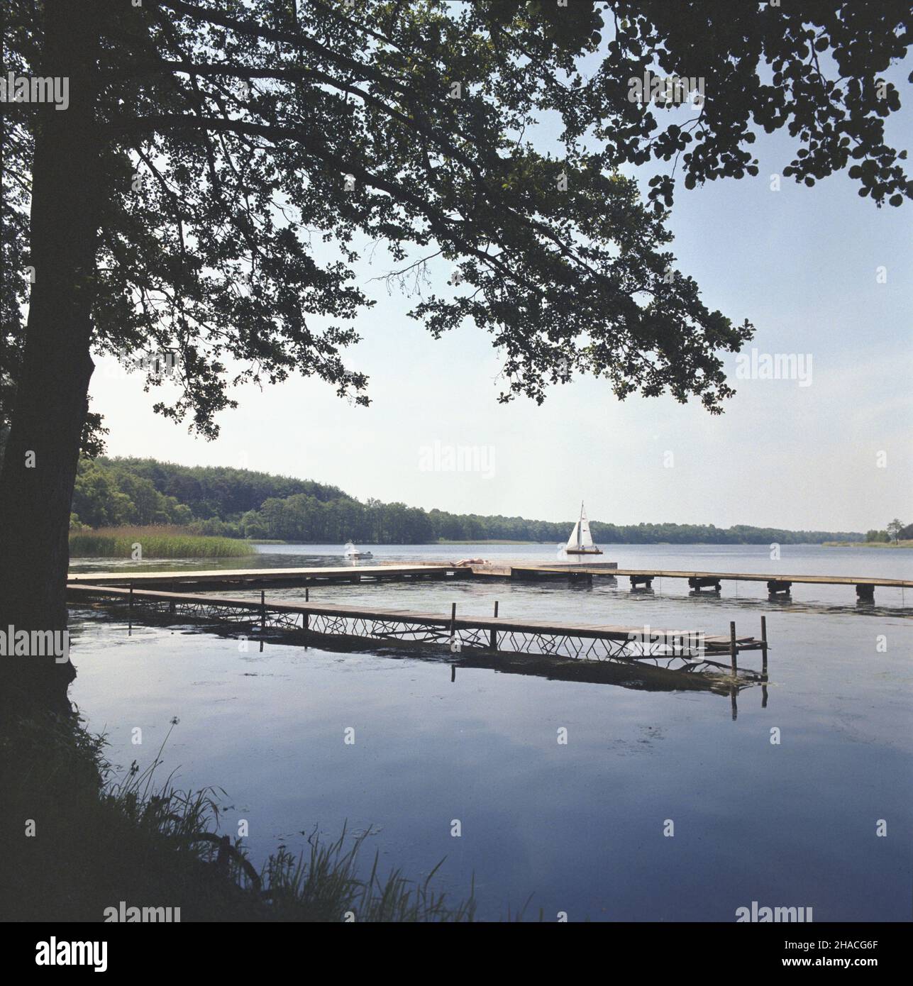 Z³otów 06.1984. Jezioro Z³otowskie (Jezioro Miejskie). js PAP/Wojciech ...