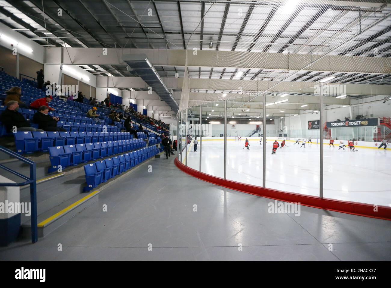 Professional hockey hi-res stock photography and images - Alamy