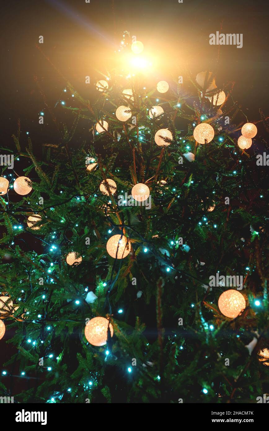New Year tree with balls in the park Stock Photo - Alamy