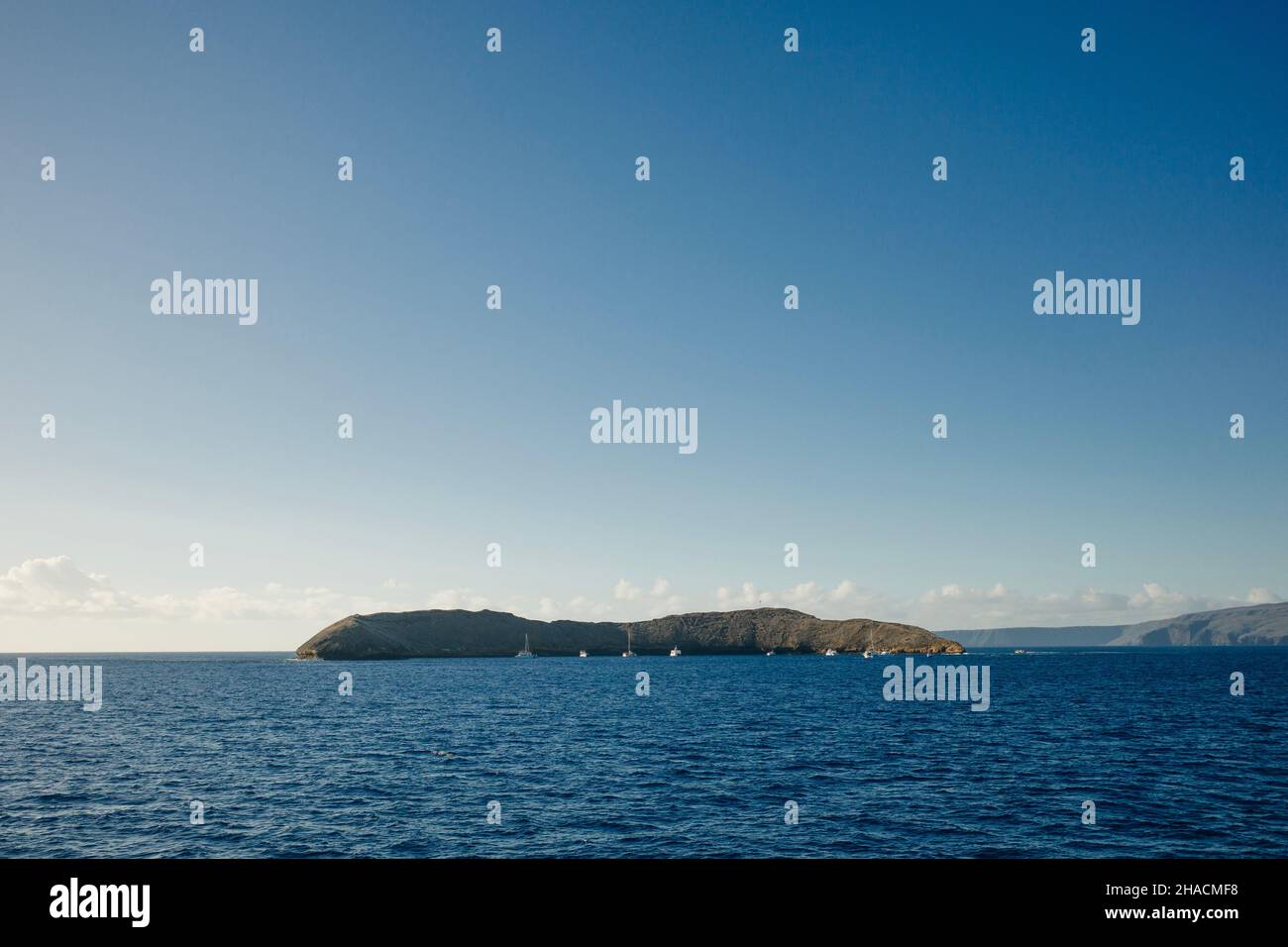 Molokini fish hi-res stock photography and images - Alamy