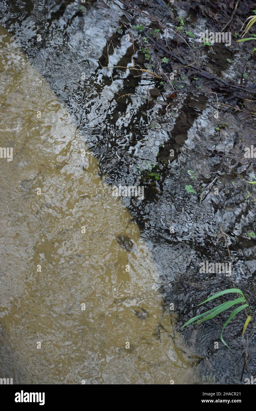 sandy River bed with Mud at the Edge Stock Photo - Alamy