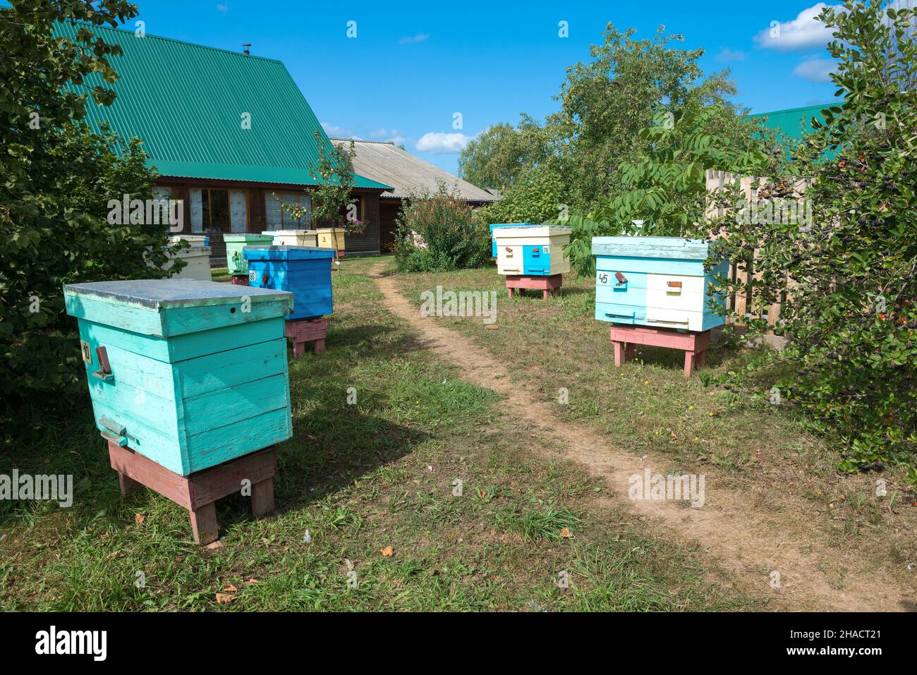 Beekeeping tourism hi-res stock photography and images - Alamy