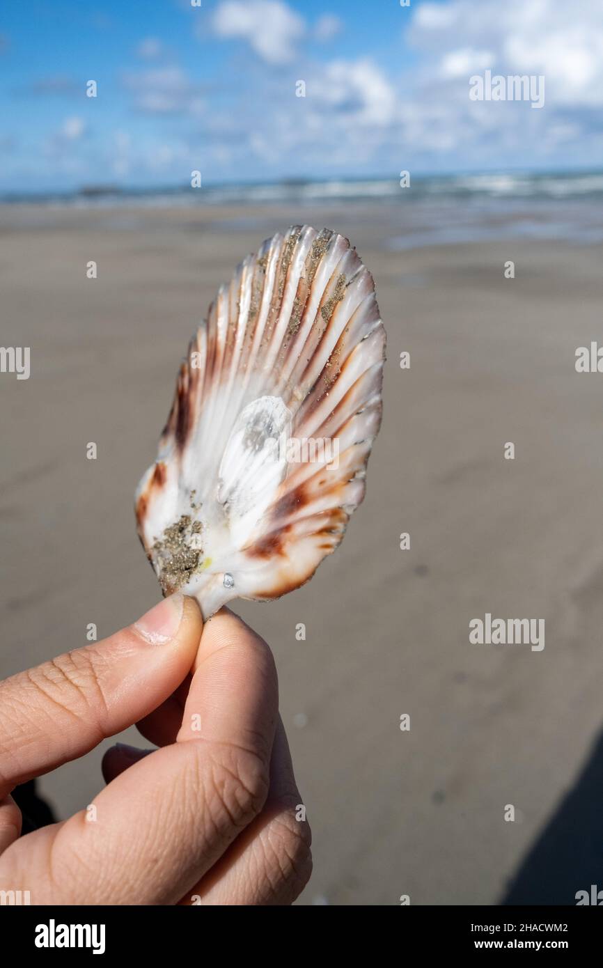 France, Normandy, on 2020-10-11. Illustration of daily life in Normandy ...