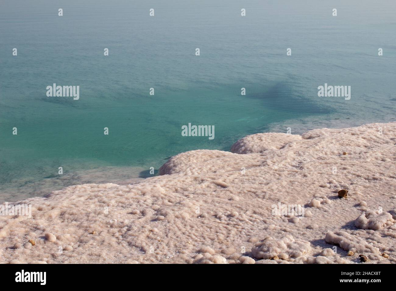 The salt beach on the shore of the Dead Sea, Israel Stock Photo - Alamy