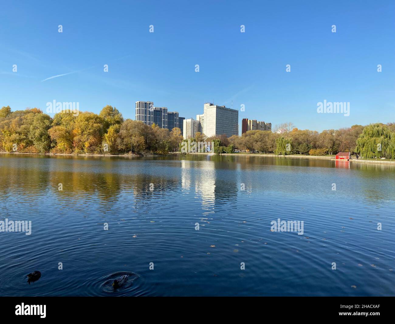 park in autumn at dry sunny fall day Stock Photo - Alamy