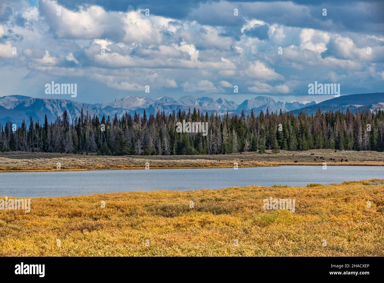 Pinon ridge hi-res stock photography and images - Alamy