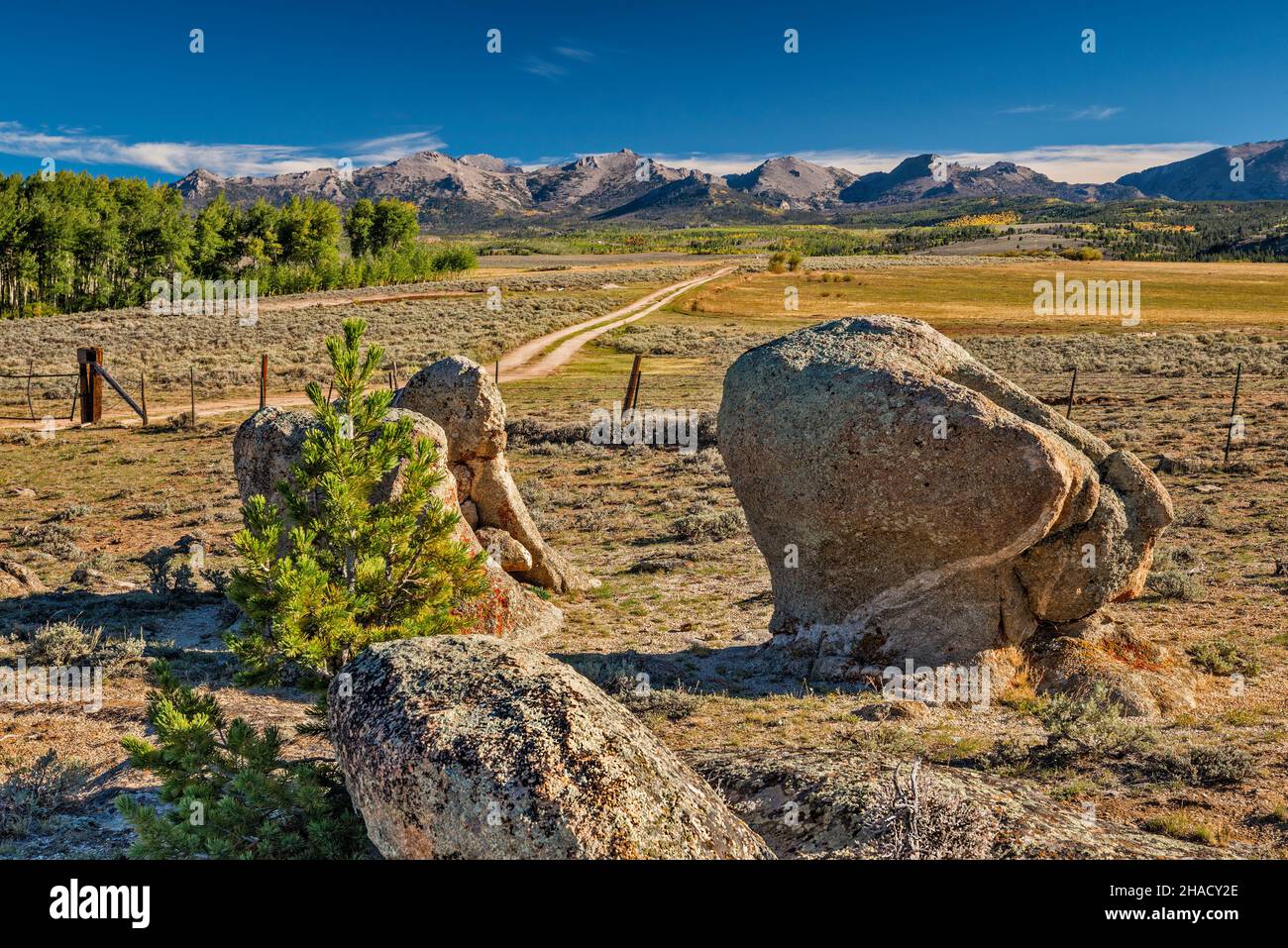 Cr 132 hi-res stock photography and images - Alamy