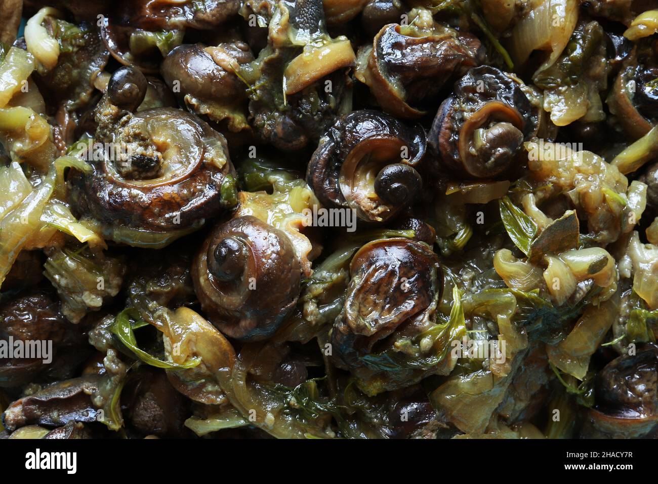 Photograph of traditional French snail recipe for food background Stock ...