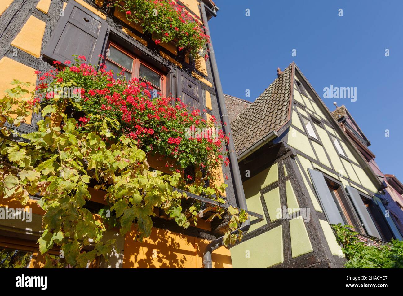 Traditional half timbered facade and colorful beautiful architecture in ...