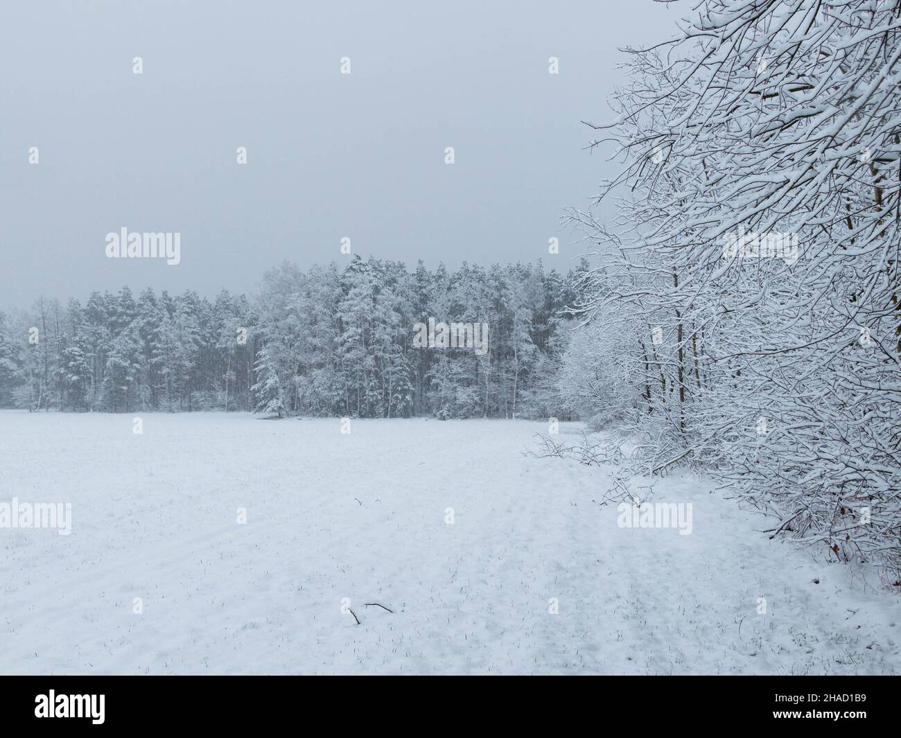 Vast, flat terrain, fields and meadows. It is winter, the ground and ...