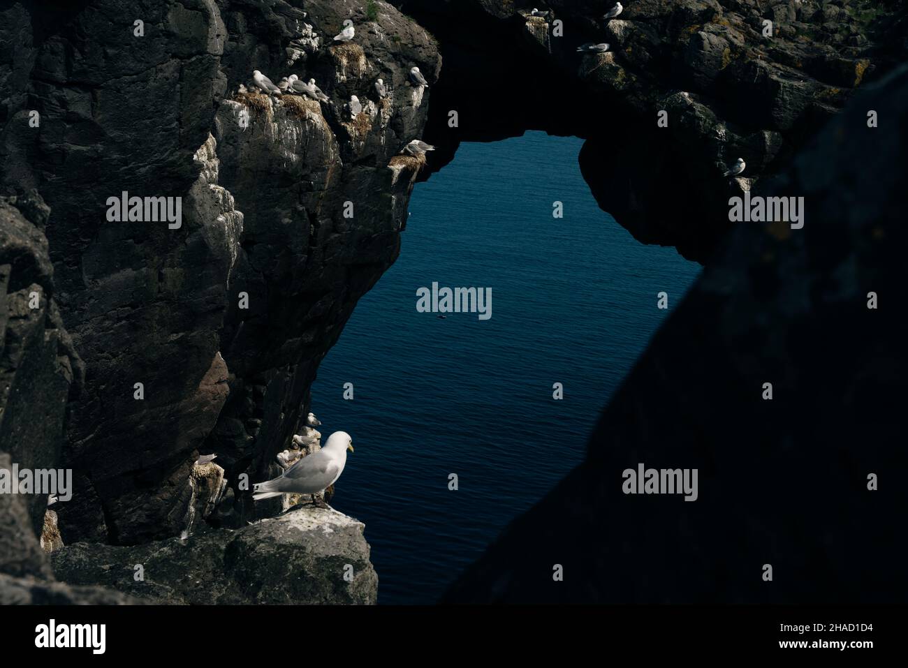 The most famous rock formation in the Arnarstapi area is Gatklettur, or ...