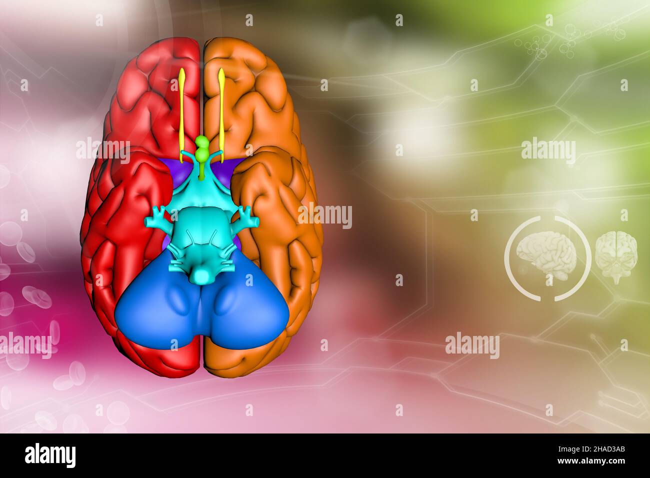 Human brain, psychology analysis concept - detailed electronic texture ...