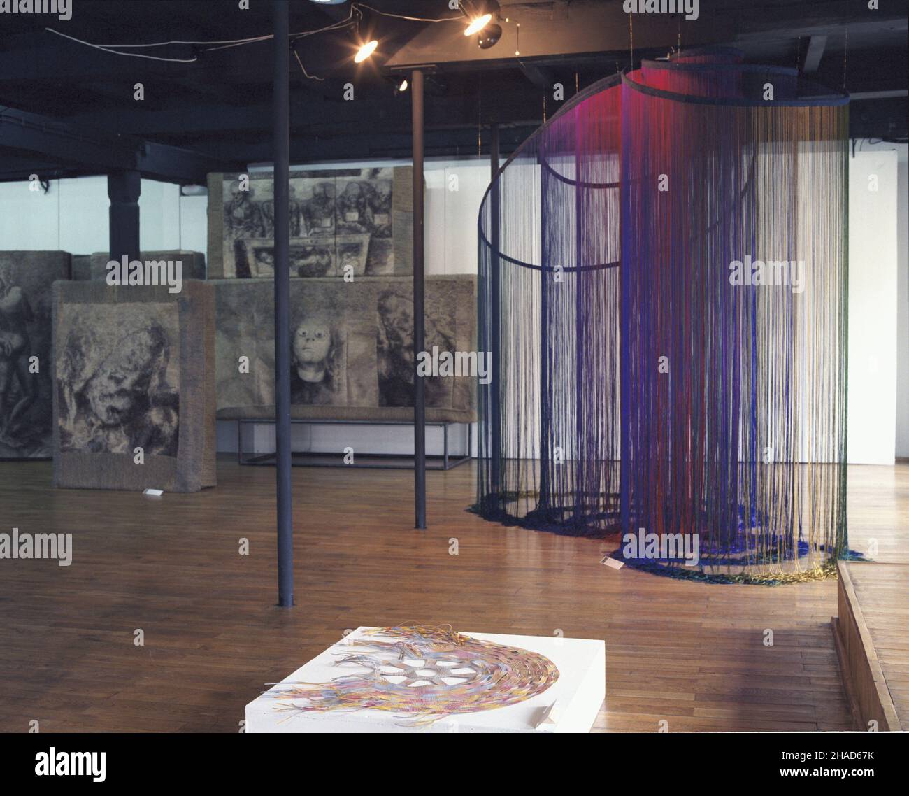 Rajski ptak 84 hi-res stock photography and images - Alamy