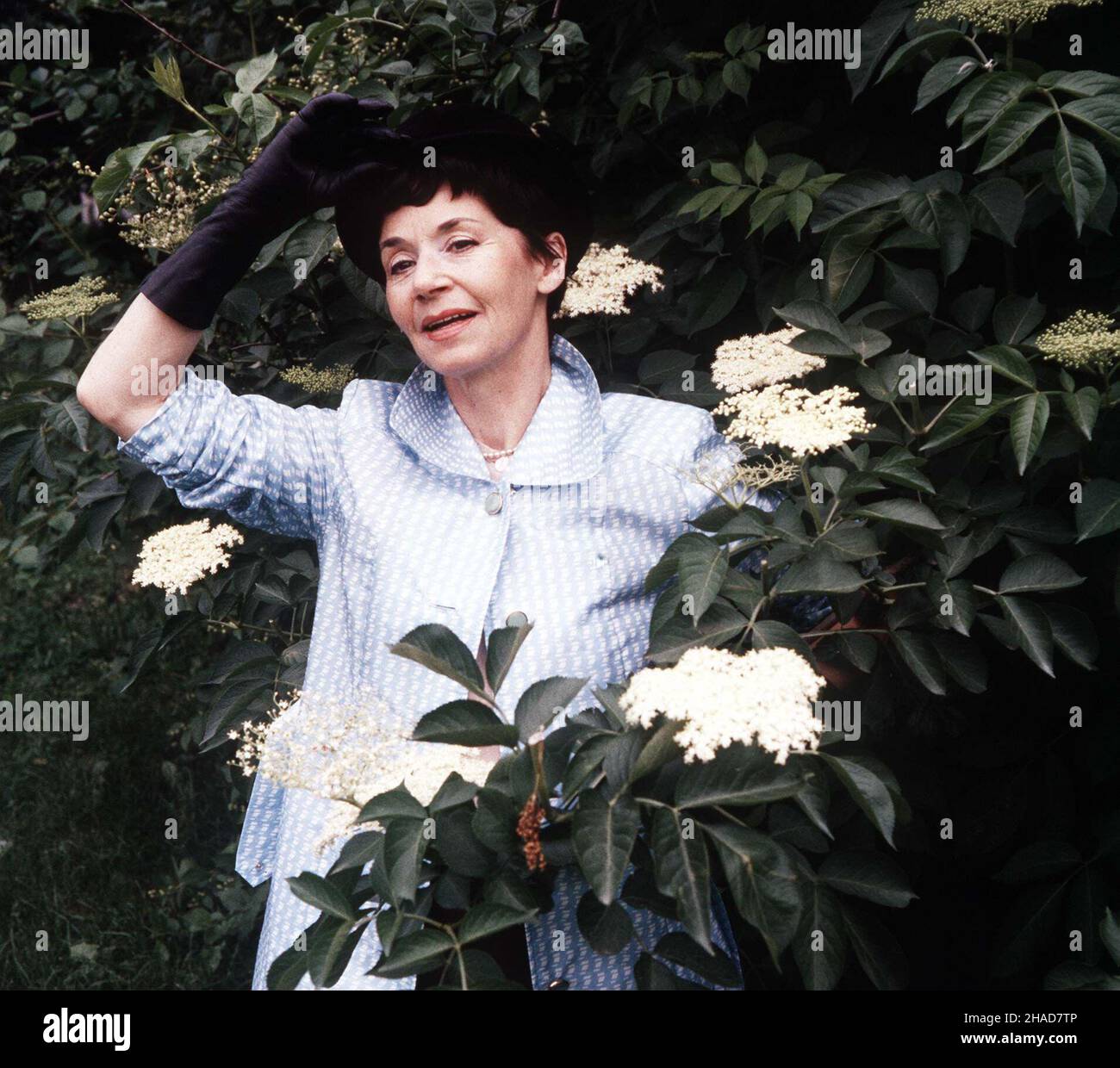 Barbara bittnerowna hi-res stock photography and images - Alamy