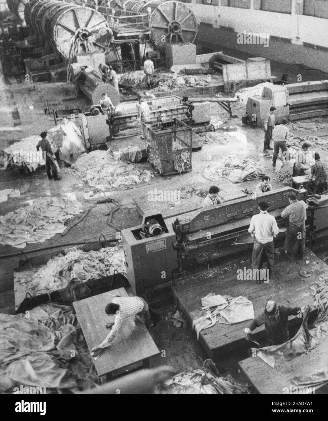 Skorzanego hi-res stock photography and images - Alamy