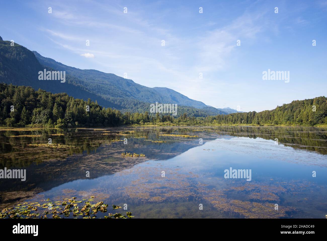 The Cheam Lake Wetlands Regional Park in British Columbia, Canada Stock ...