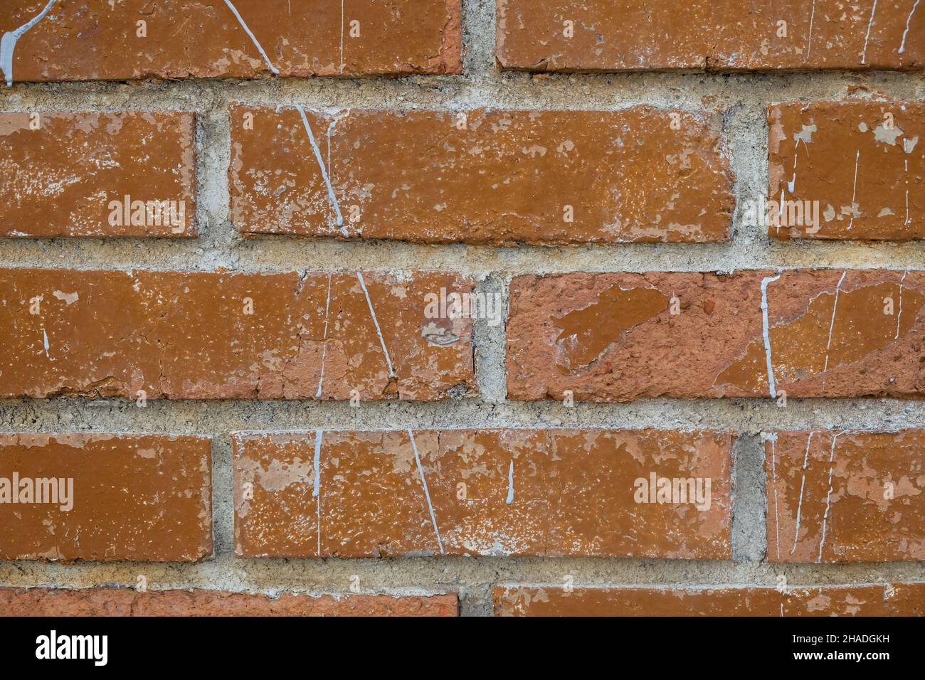 Brick wall texture. Light brown rectangular bricks in close-up, sprayed ...