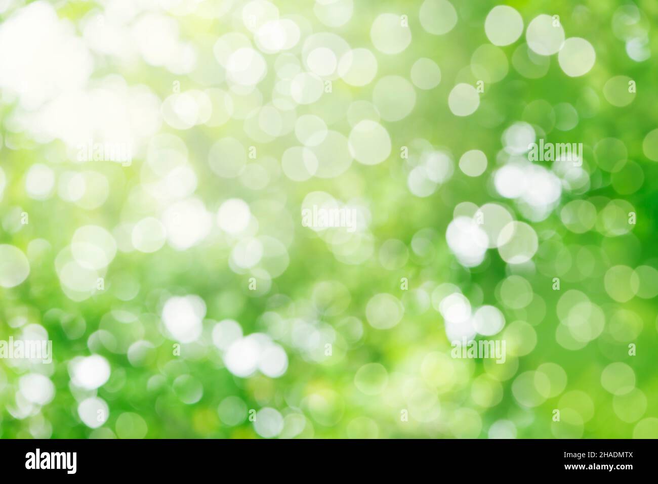 Abstract background. background blur natural and light background in ...