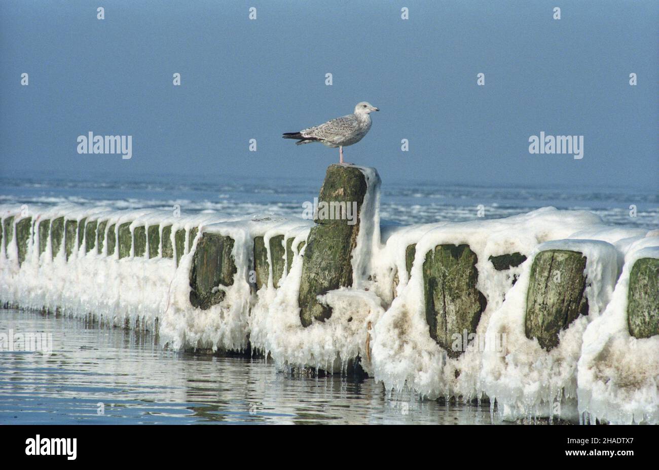 16 02 1994 hi-res stock photography and images - Alamy