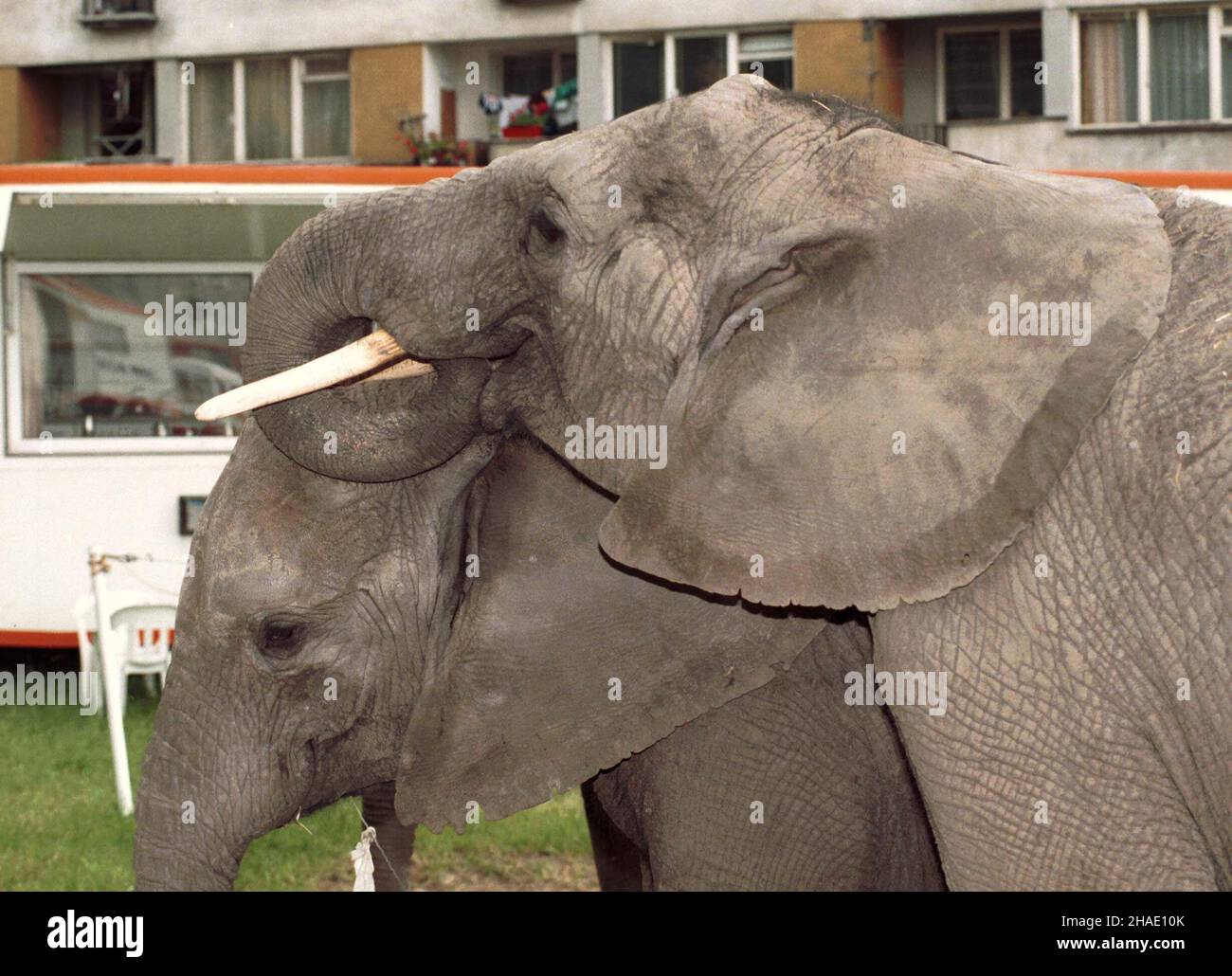 S3onie hi-res stock photography and images - Alamy