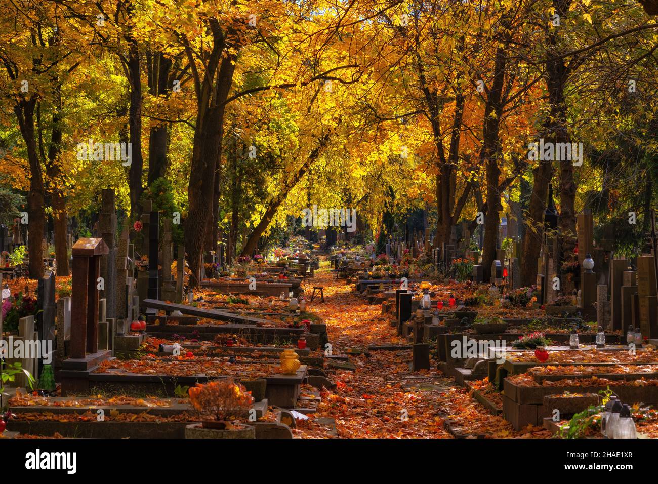 Poland cemetery hi-res stock photography and images - Alamy