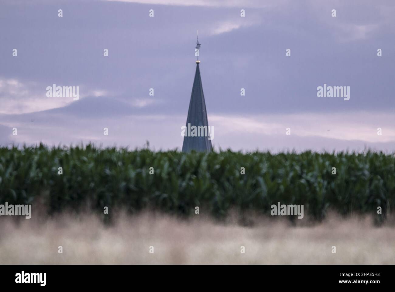 A view of a church tower spire across the green field, Germany Stock ...