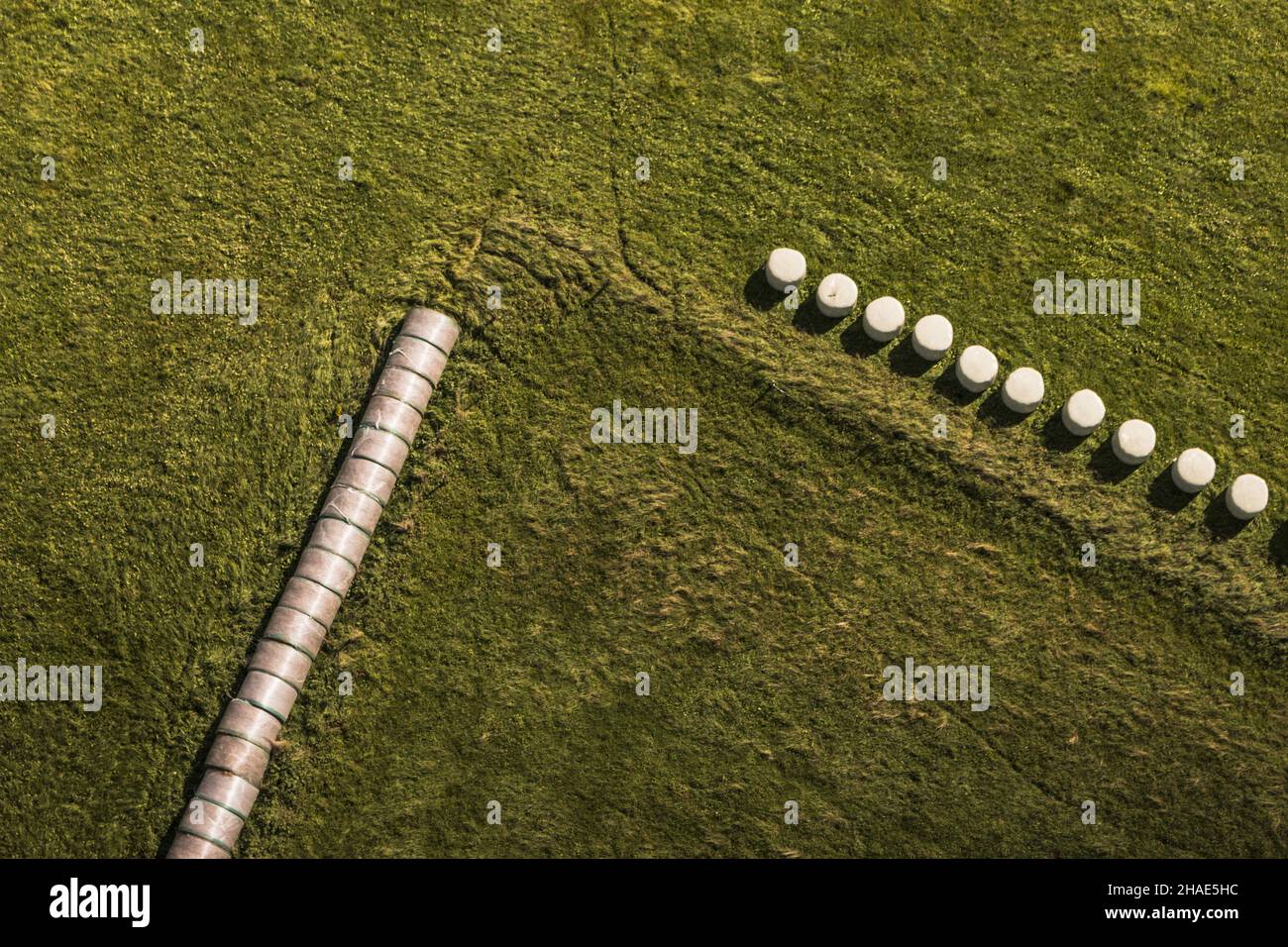 An aerial view of a green grass-covered vast area Stock Photo - Alamy