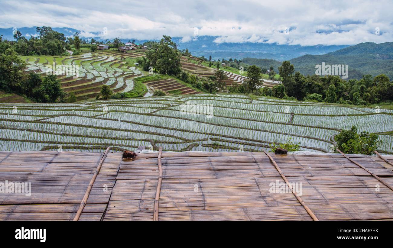Landscape field on mountain. During the rainy season. The village in ...