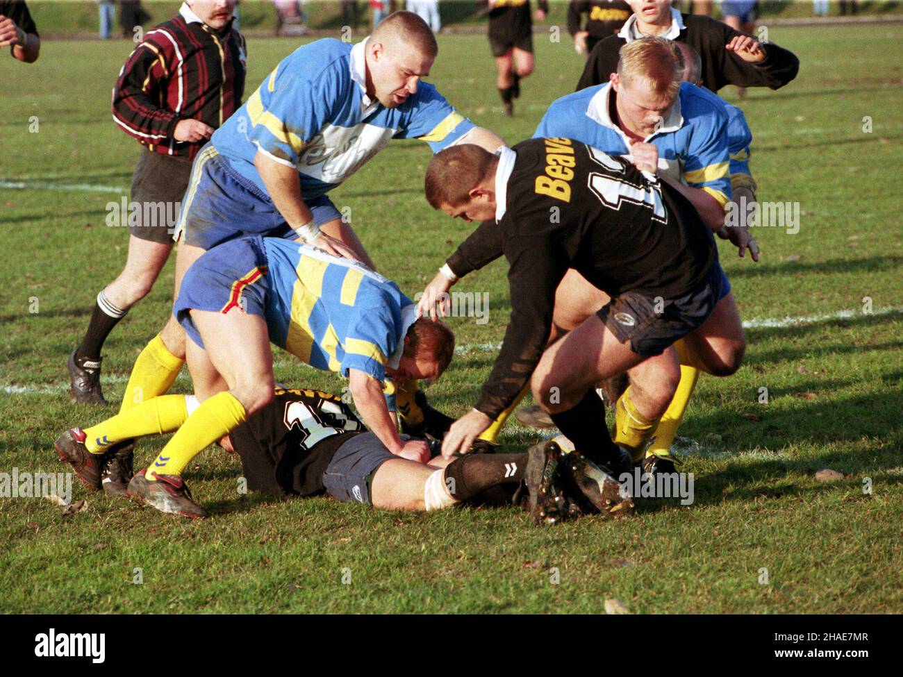 Ogniwo sopot hi-res stock photography and images - Alamy
