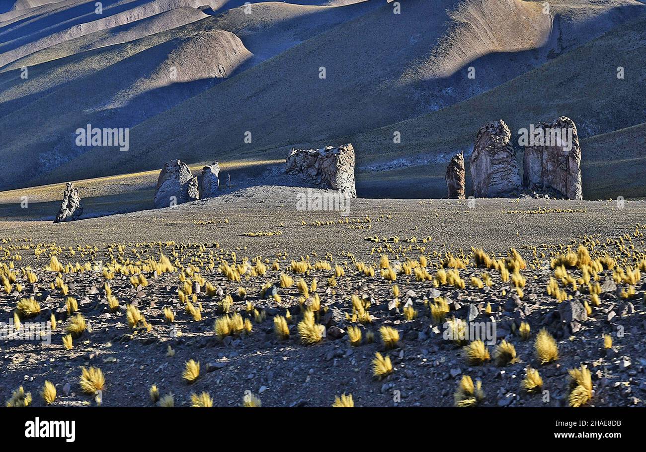 The hills and the meadow field in the northern part of Chile at daytime ...