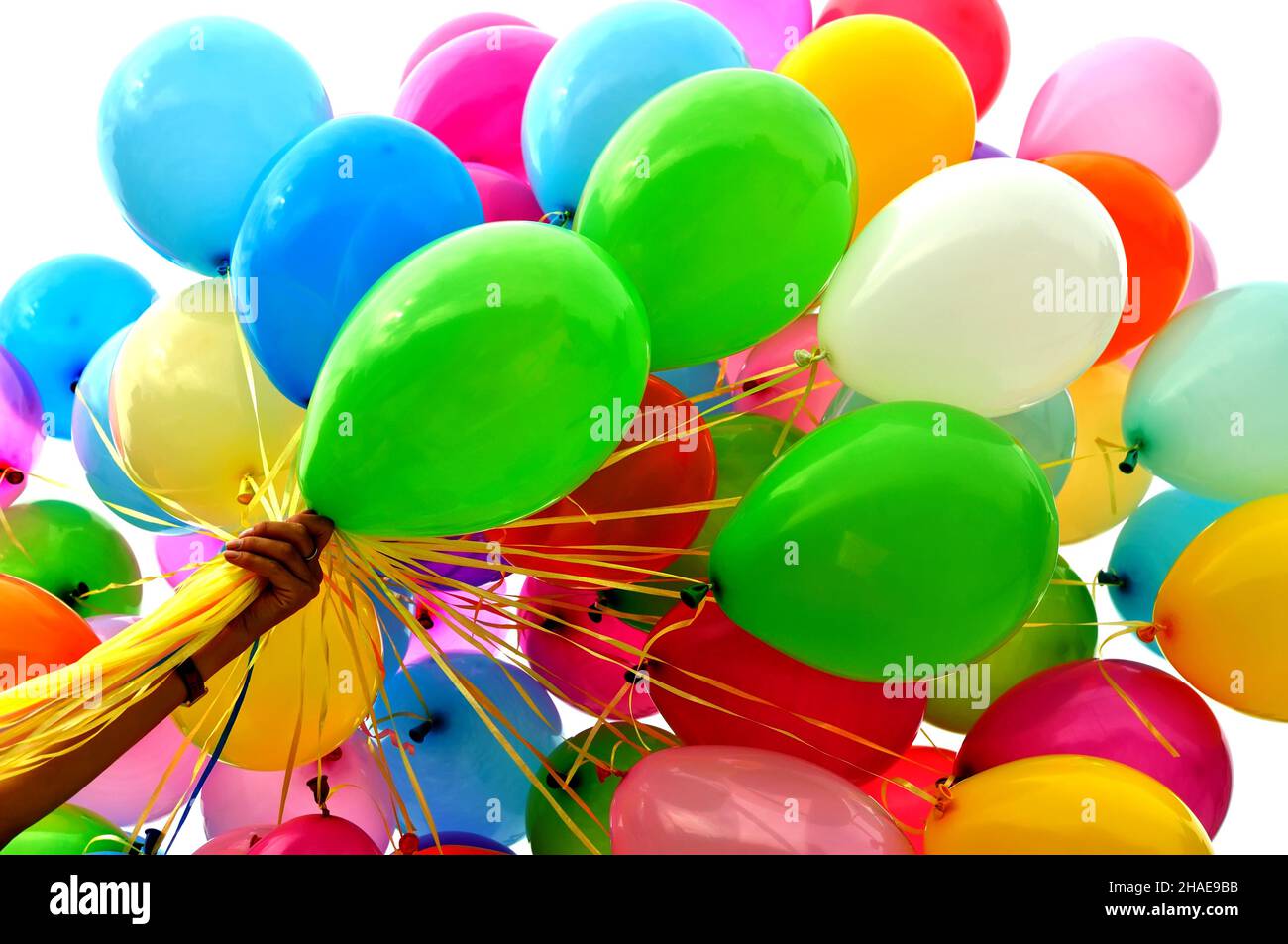 human's hand holding bunch of multicolored balloons in the city ...