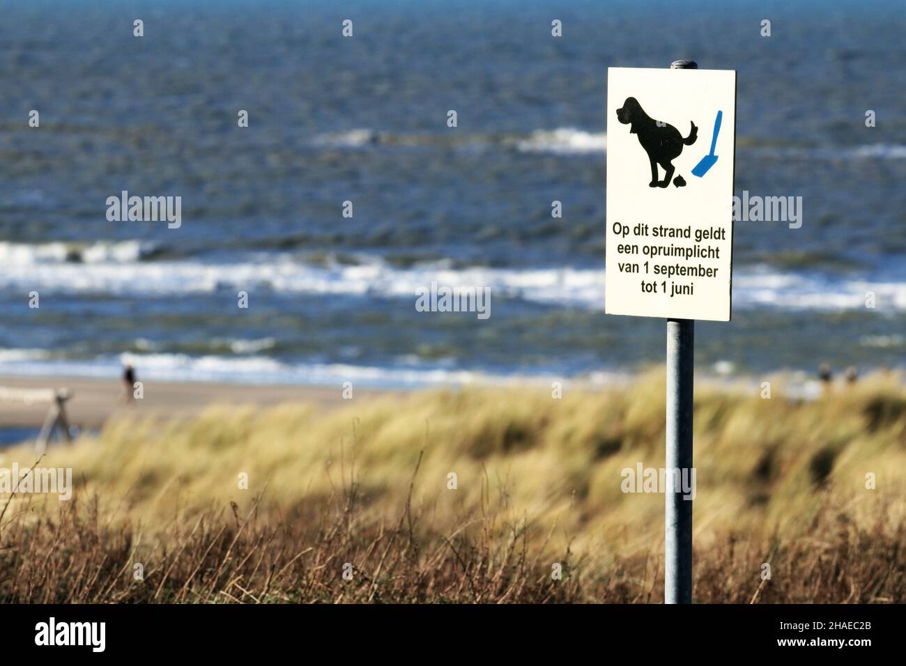 A sign with the obligation to remove dog poop from the beach in Dutch ...