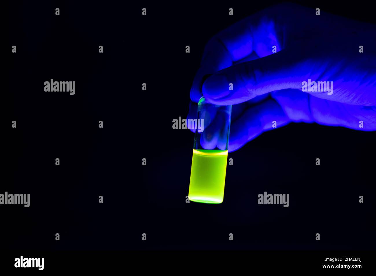 A scientist worker holding chemistry photochemical reaction green glass ...