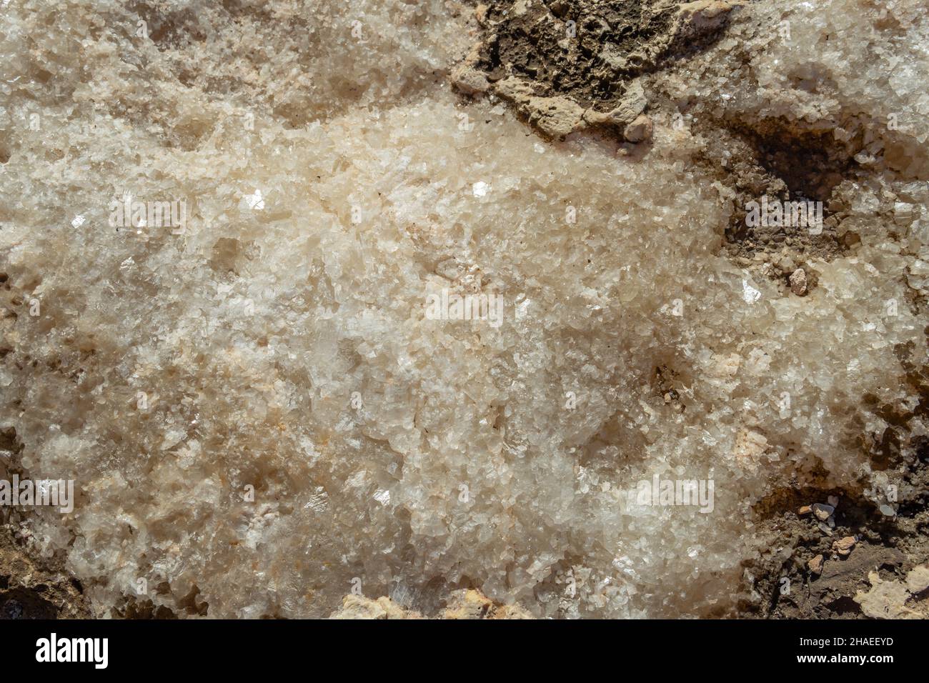 Coastal ecosystem health hi-res stock photography and images - Alamy