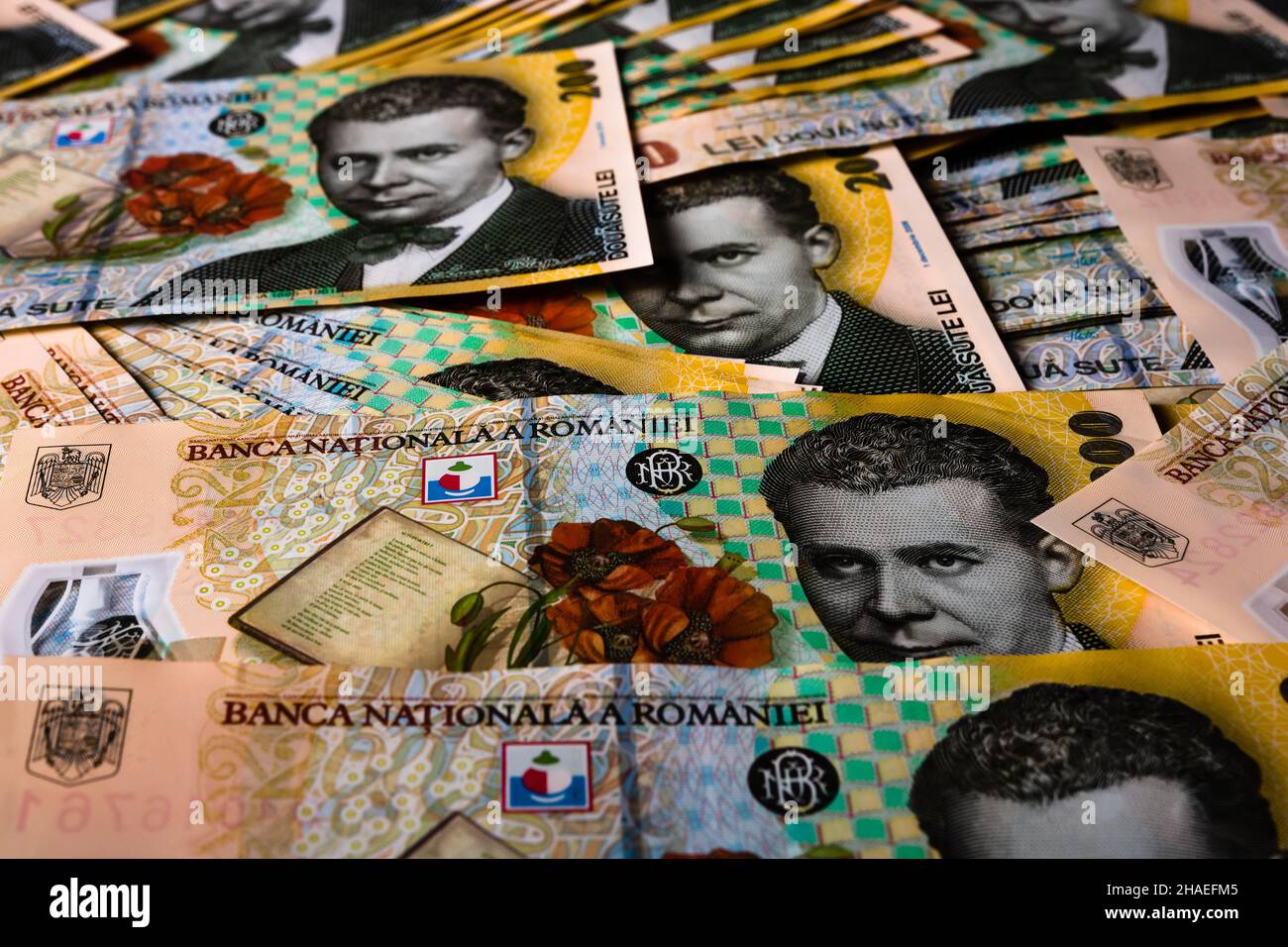 Stack of LEI Romanian money. RON Leu Money European Currency Stock ...