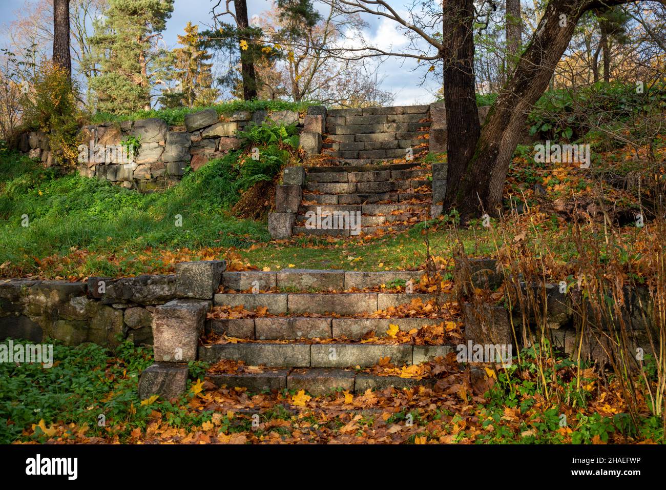 Stone steps with fallen leaves on a clear autumn day Stock Photo - Alamy