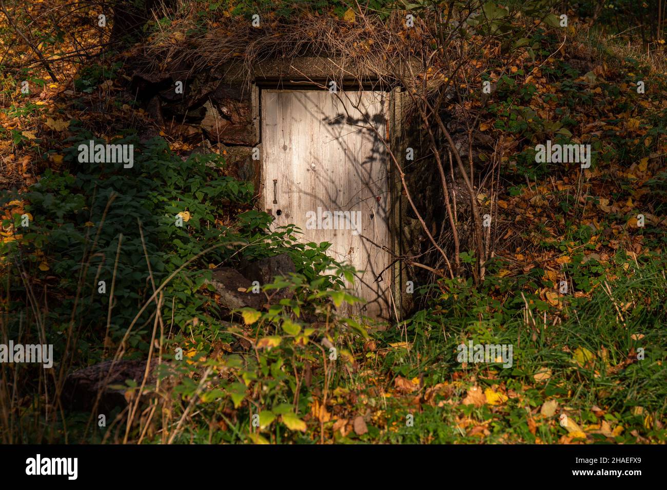 Root cellar hi-res stock photography and images - Alamy