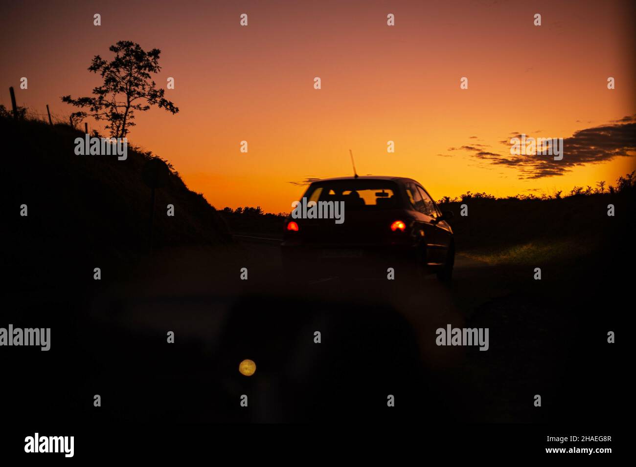 A view from behind of a car driving along the road through the fields ...