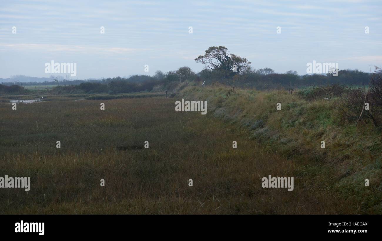 Pagham harbour nature reserve at low tide with marsh plants Stock Photo ...