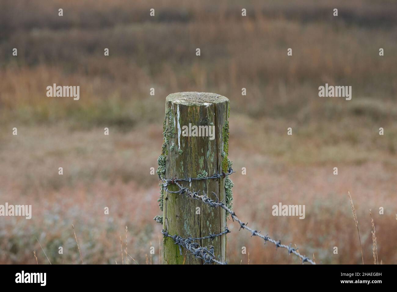 Filed post seen connected to barbed wire Stock Photo - Alamy