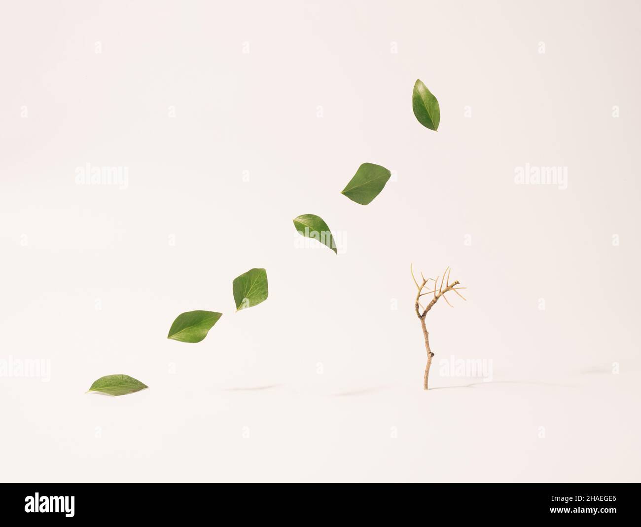 Gradually change hi-res stock photography and images - Alamy